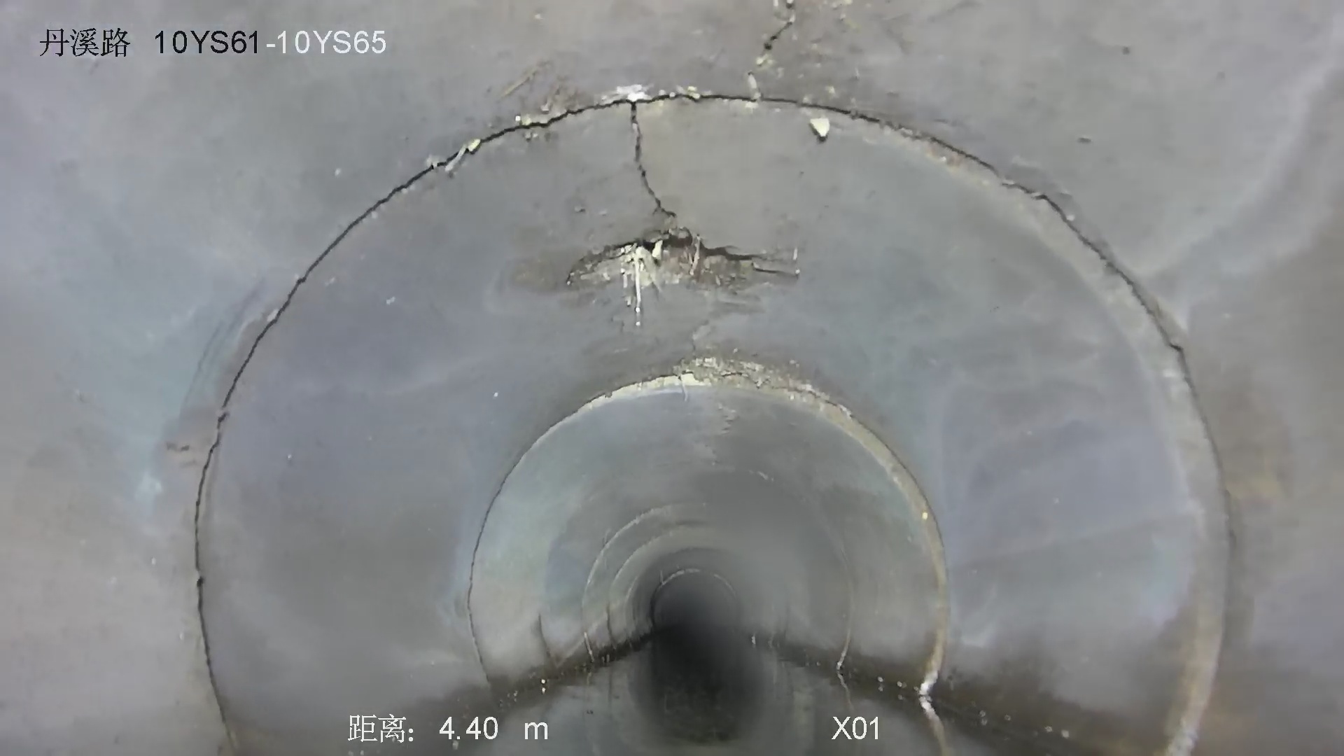 Pl Object Detection Dataset By Renne