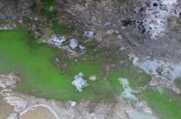 spill-detection-v2 Instance Segmentation Dataset by trash