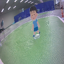 JetBot Object Detection Dataset by project-wymy8