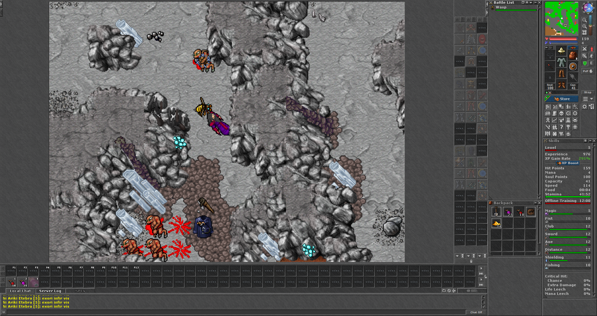 Tibia Loot Object Detection Dataset and Pre-Trained Model by Gameplay Anon