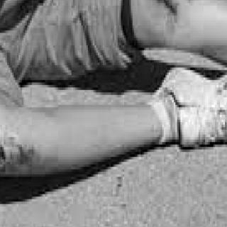 OpenCV Tutorial - Roboflow Universe