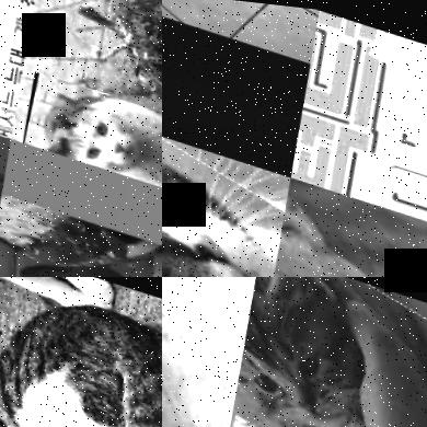 Cats and dogs Model Object Detection Dataset by TFG