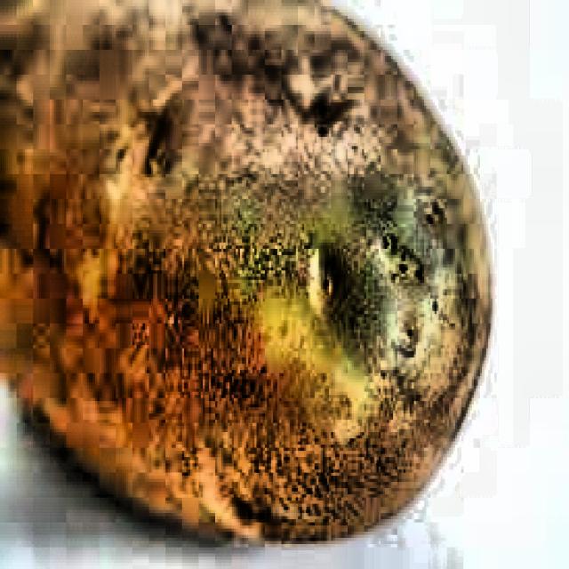 Hng Object Detection Dataset And Pre Trained Model By Train The Model