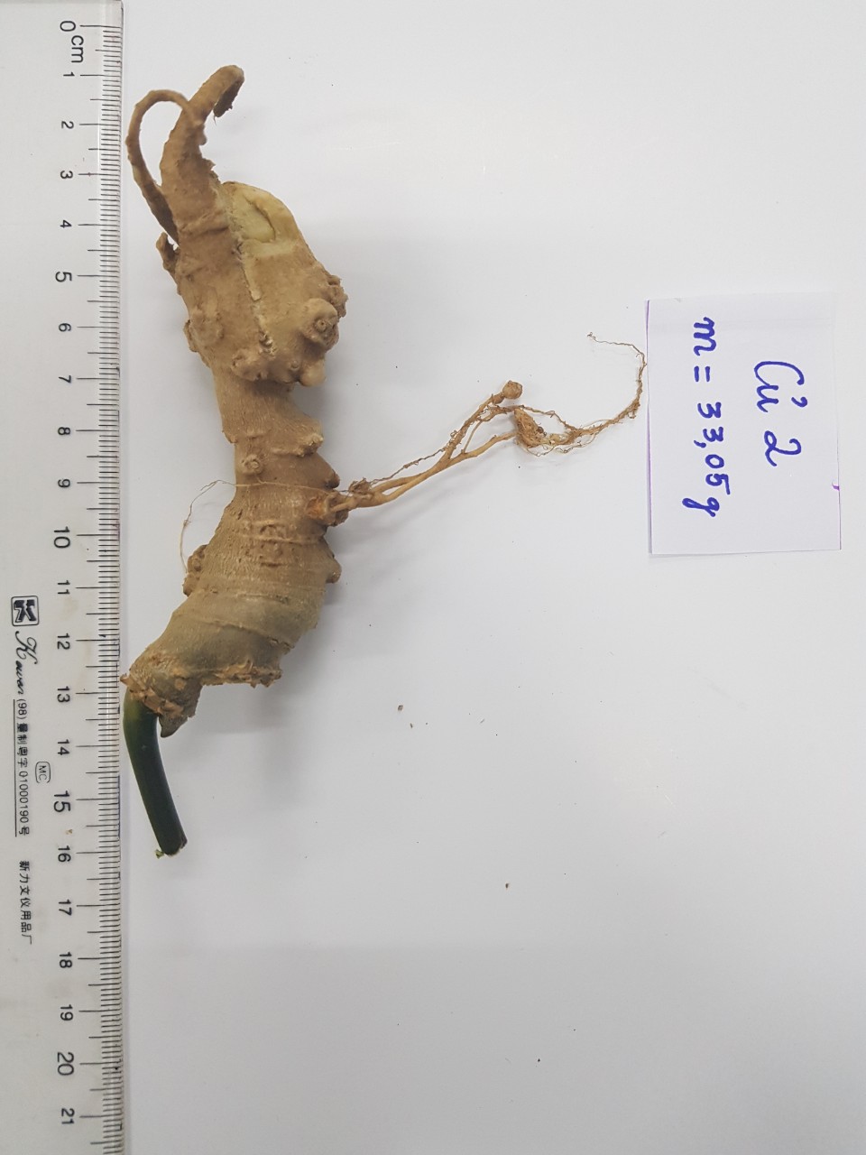 Ginseng Classification Object Detection Dataset by Ginseng