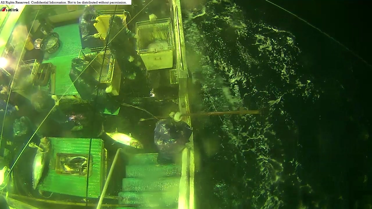 fish-monitoring Object Detection Dataset by The NCFM