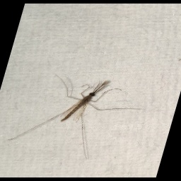 Anopheles-3 Classification Dataset by Data