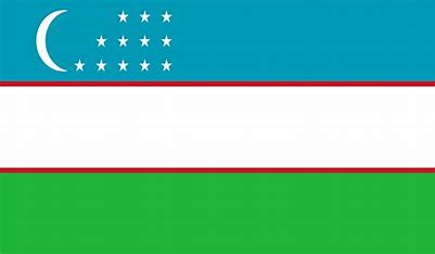 flag identify Object Detection Model by image processing