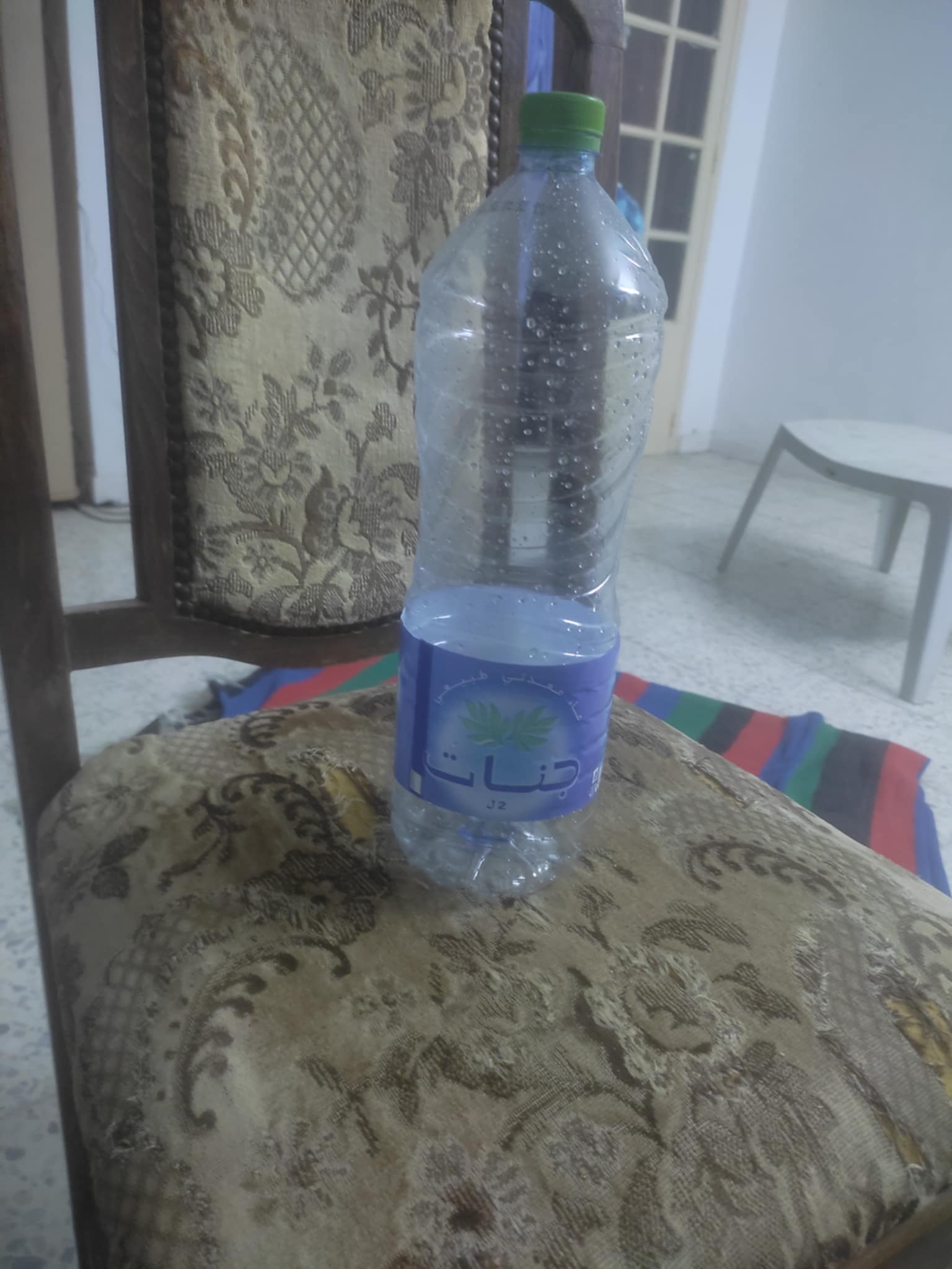 Detect And Classify 3 Single-label Classification Classification Model ...