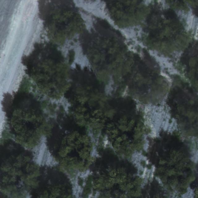 Tree Count Object Detection Model By Saniya