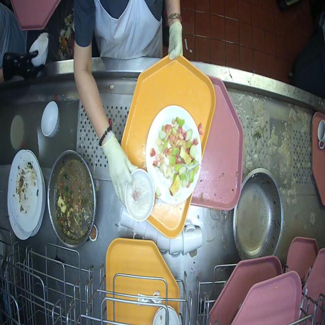 organic waste detection Object Detection Model by detection