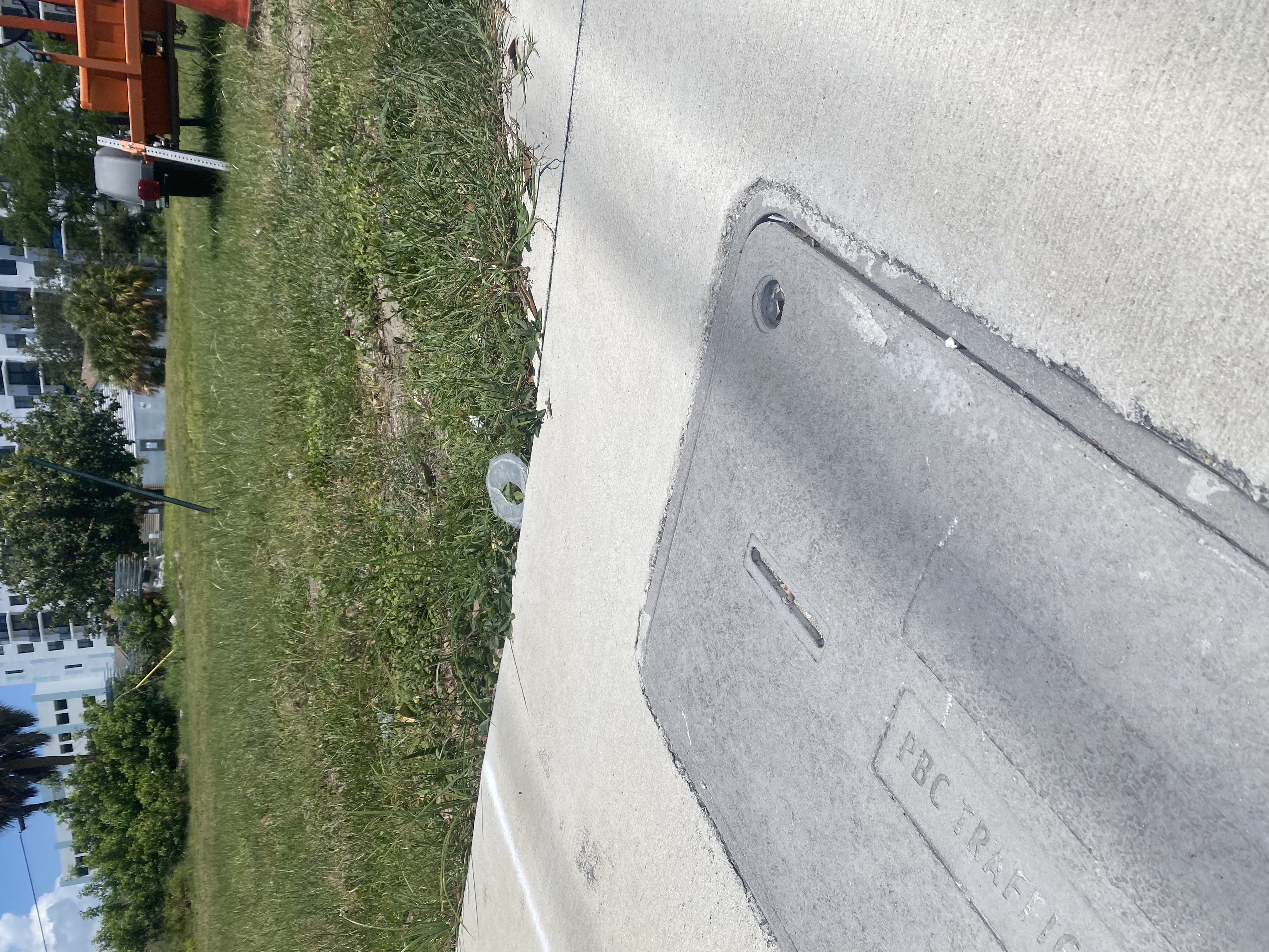 Litter Detection Object Detection Model by Reidentification