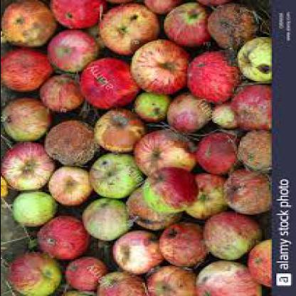 Garbage classification Object Detection Model by project-1ycjd