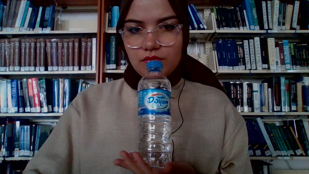 su sisesi Object Detection Model by esra