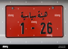 Libyan plate Object Detection Dataset and Pre-Trained Model by smocke ...