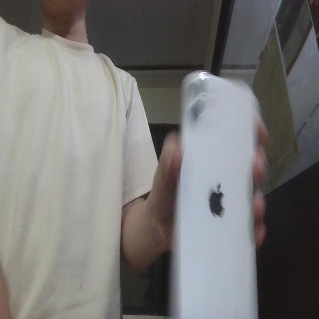 It Asset Detection Object Detection Model By Collins Workspace