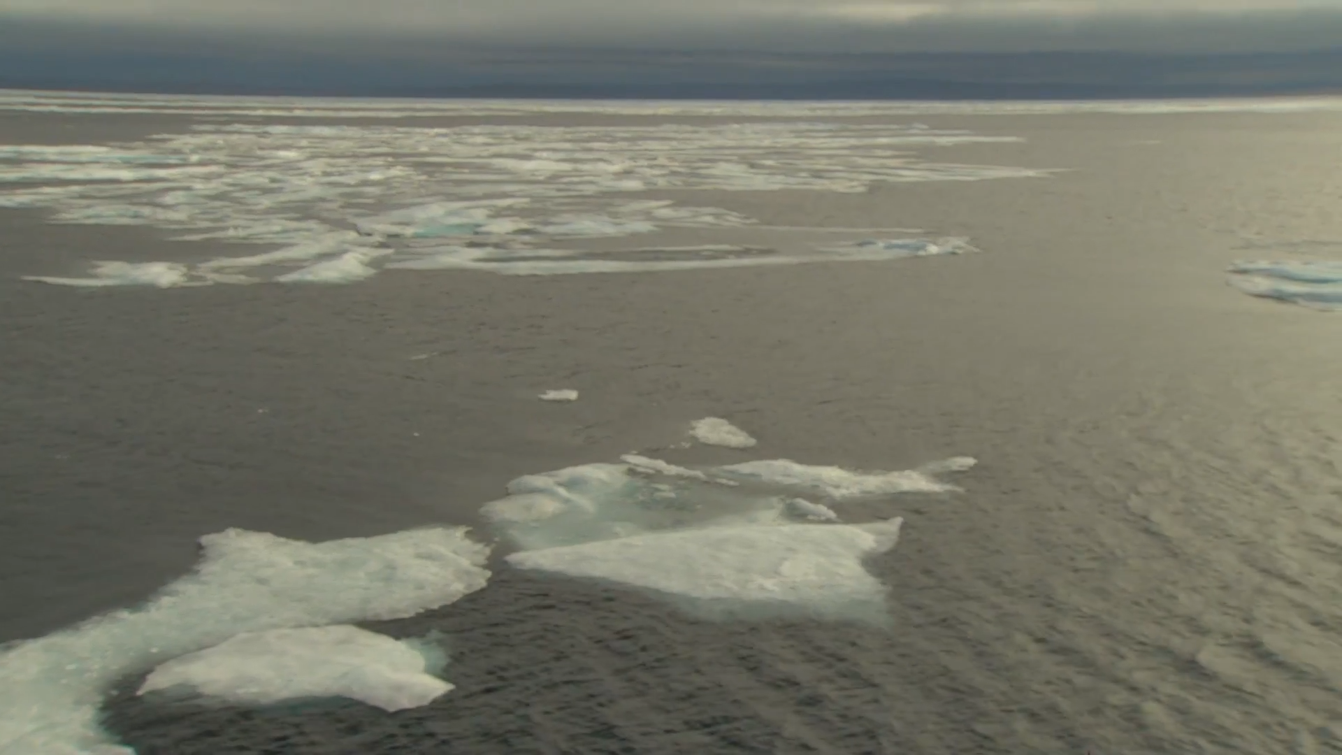 ice_classification_module_02 Classification Model by iceclassificationws