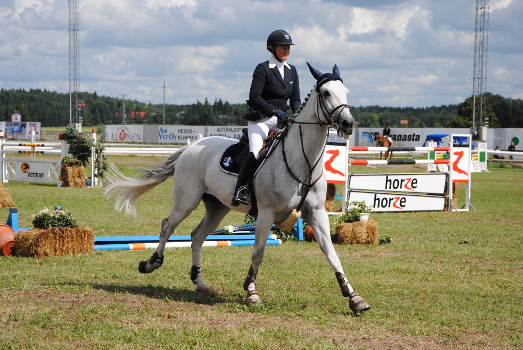 animal Object Detection Dataset and Pre-Trained Model by Daniel