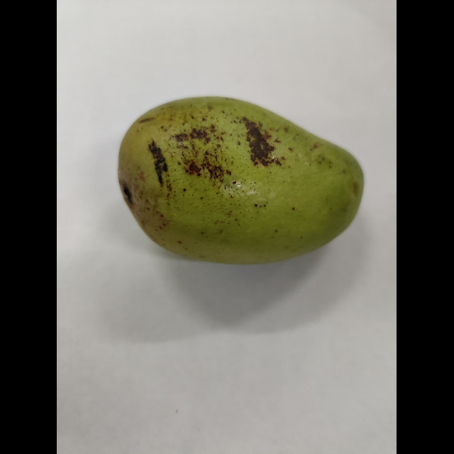 Mango Object Detection Dataset By Fruits