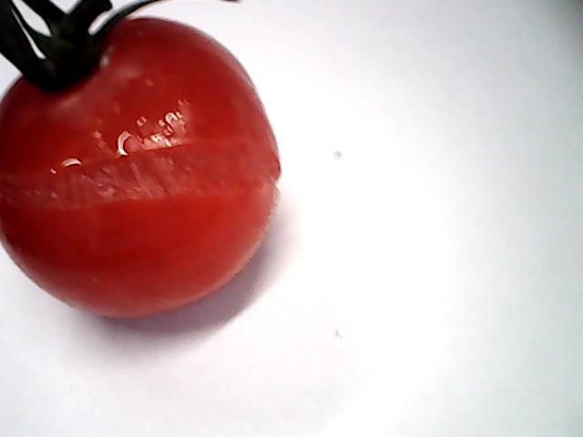 tomato classification Object Detection Model by university of Hertfordshire