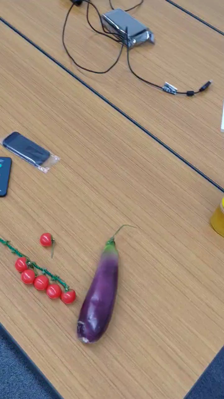 Nasu Tomato Object Detection Dataset by nasu