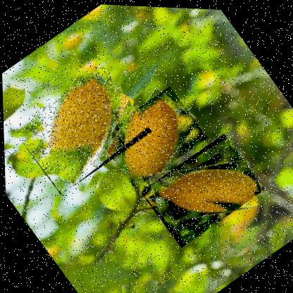 fruit_detect Object Detection Dataset and Pre-Trained Model by fruitdetect