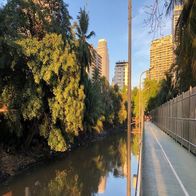 How to Use the water_detection Object Detection API