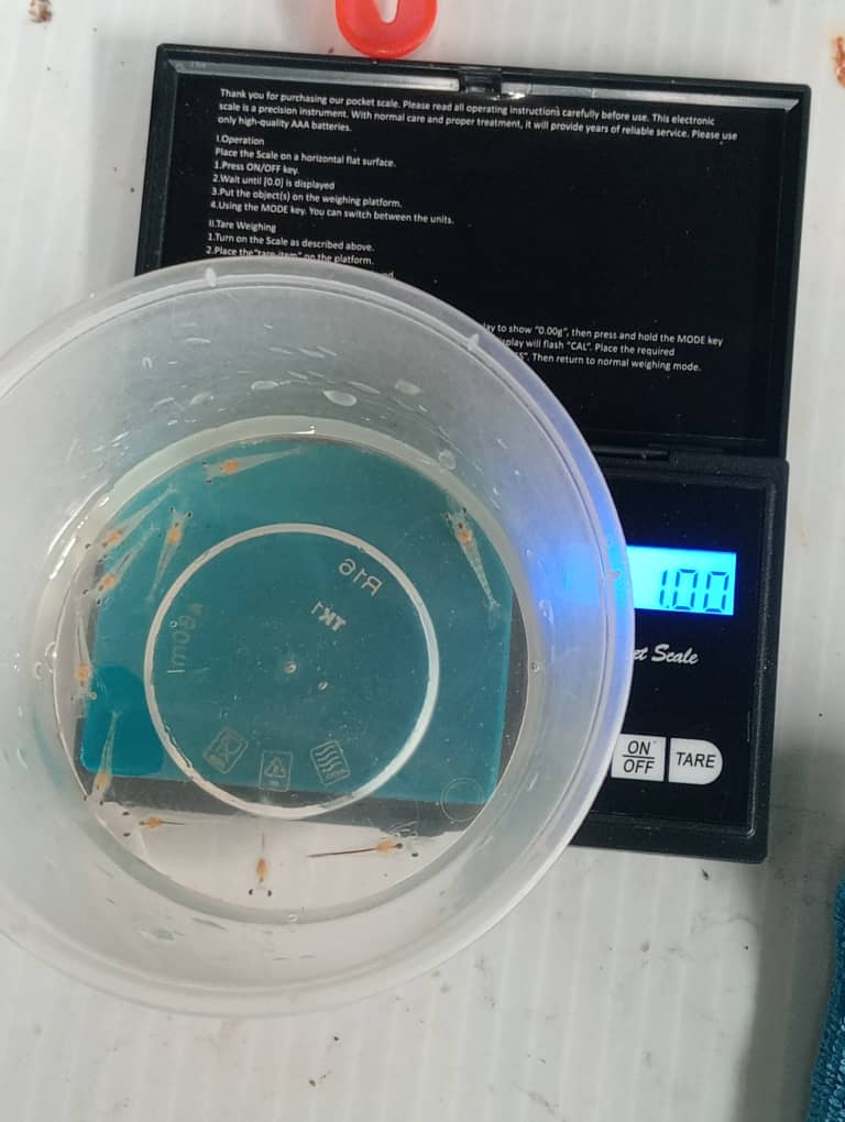 Shrimp Object Detection Dataset and Pre-Trained Model by Personal