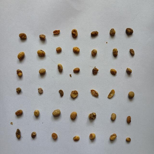 GH Dataset v1 Object Detection Dataset by Varun Ramanathan