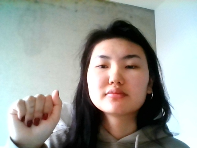 Sign Language Detection Object Detection Dataset And Pre Trained Model