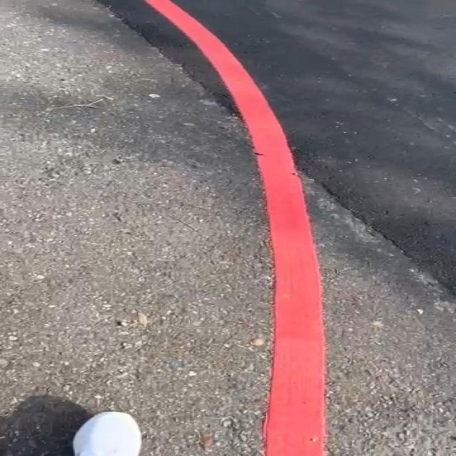 red curb Object Detection Dataset by red line