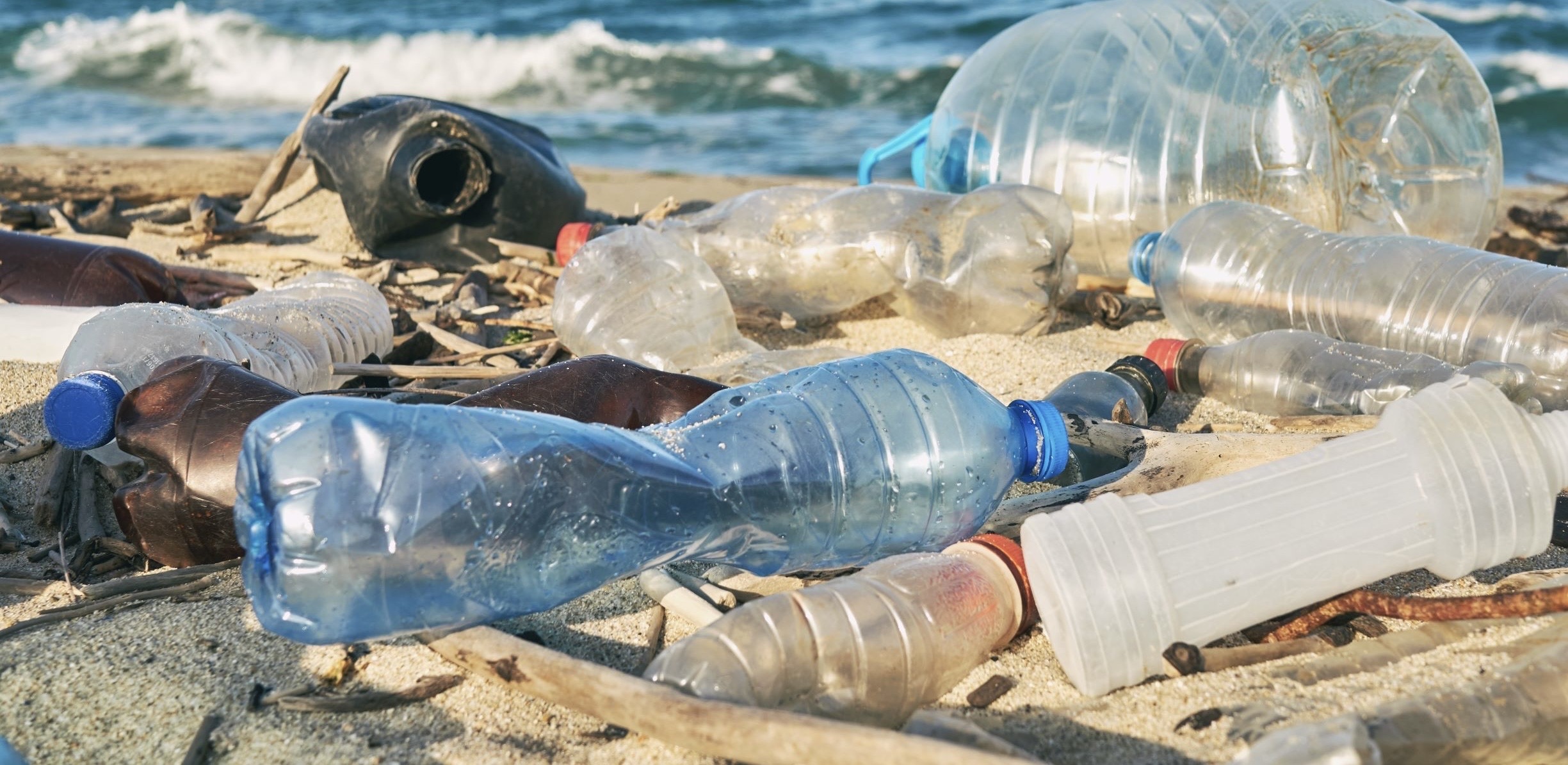 Rapeepat - Roboflow Universe