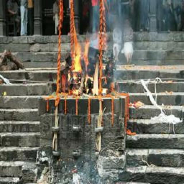 Custom Instance Segmentation Dataset by Test