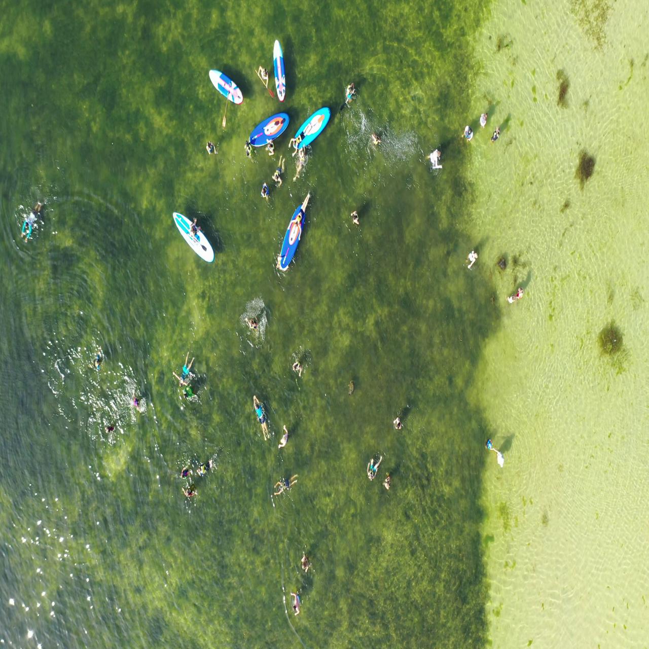 Od Tile Vs Non Tiles Afo Dataset Object Detection Model By Ntnu