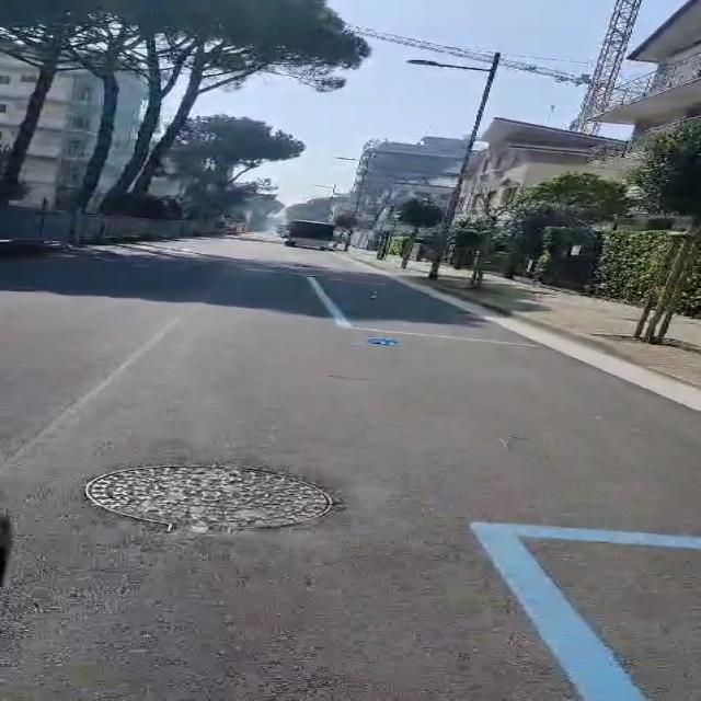 FOD Object Detection Dataset and Pre-Trained Model by WS1