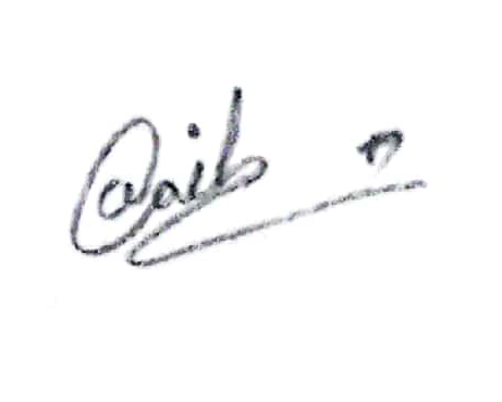 Signature Comparison Classification Dataset by Geogpt