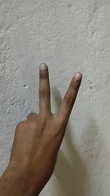 keypoint skeleton Keypoint Detection Model by machine vision