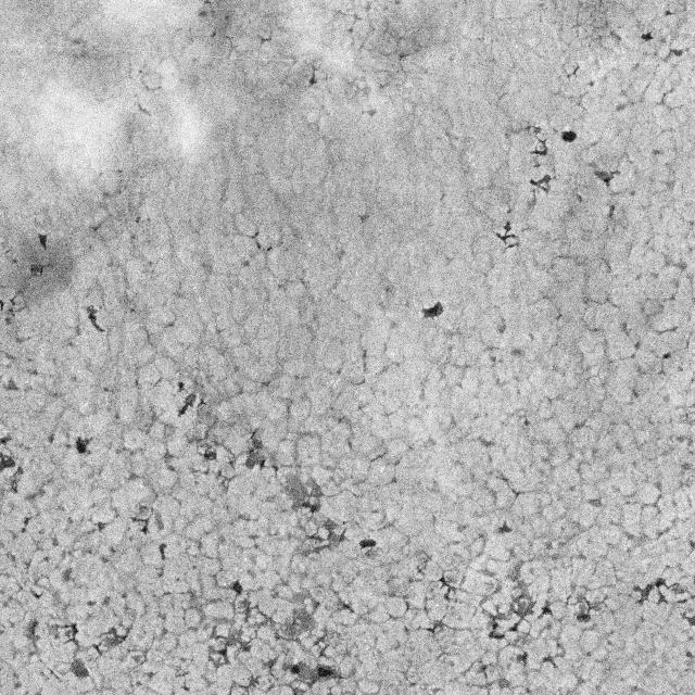 RoughsOnly_April_Merge Instance Segmentation Dataset by MRIAL