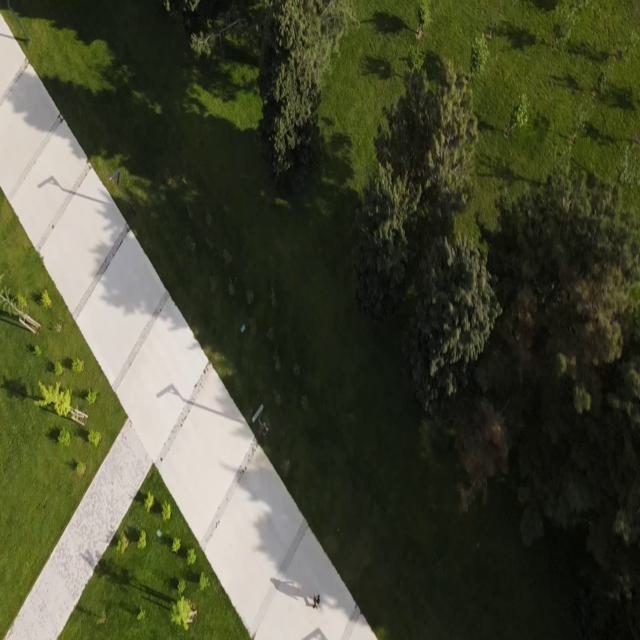 blur Object Detection Dataset by workspace1