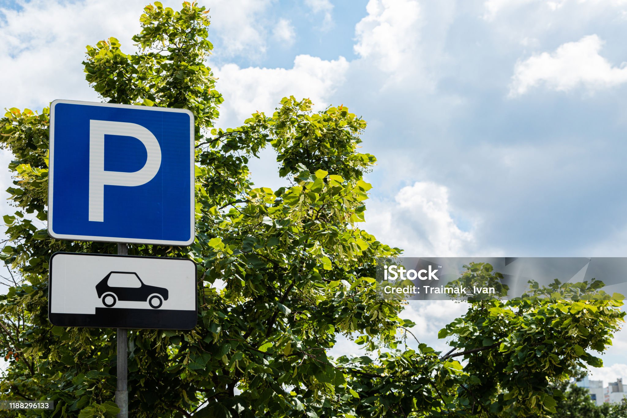 test Object Detection Model by testalan