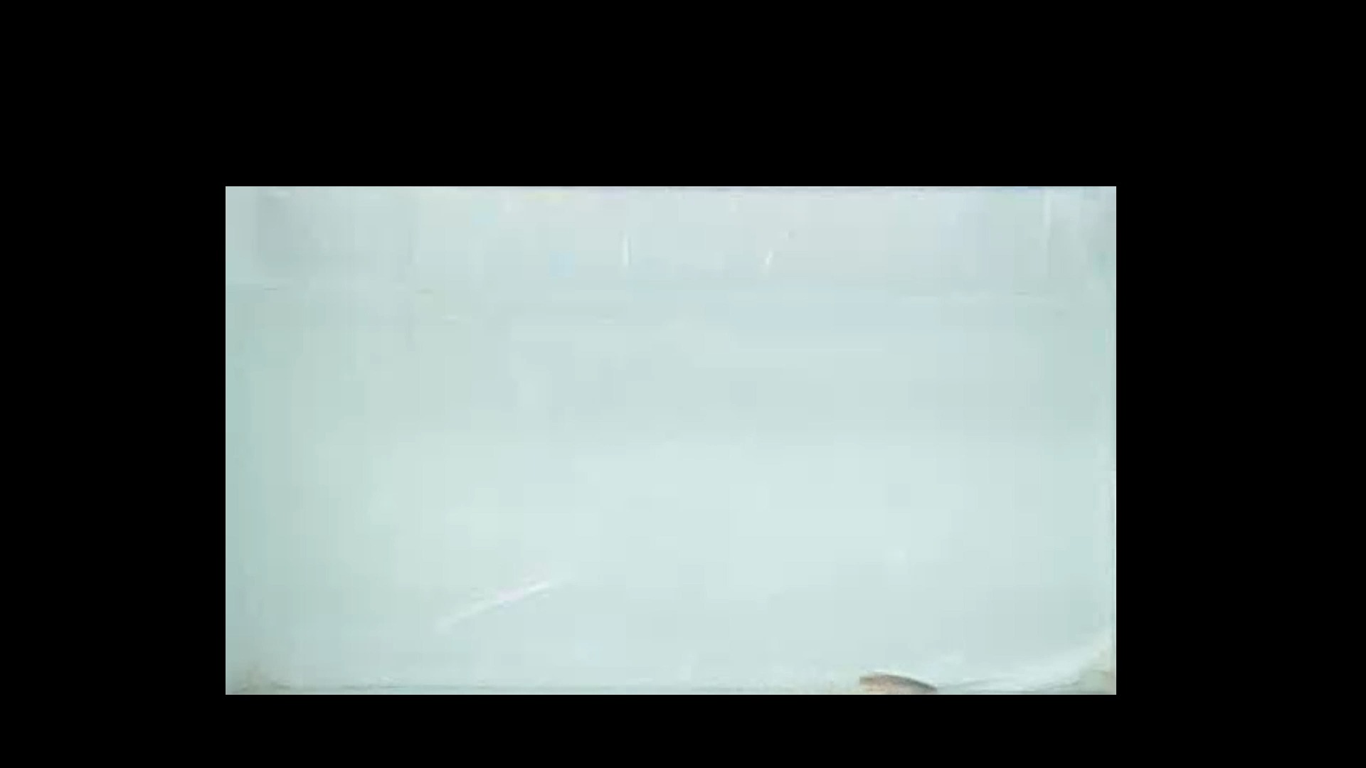 Tcc Datapeixe Object Detection Dataset By Tccdata