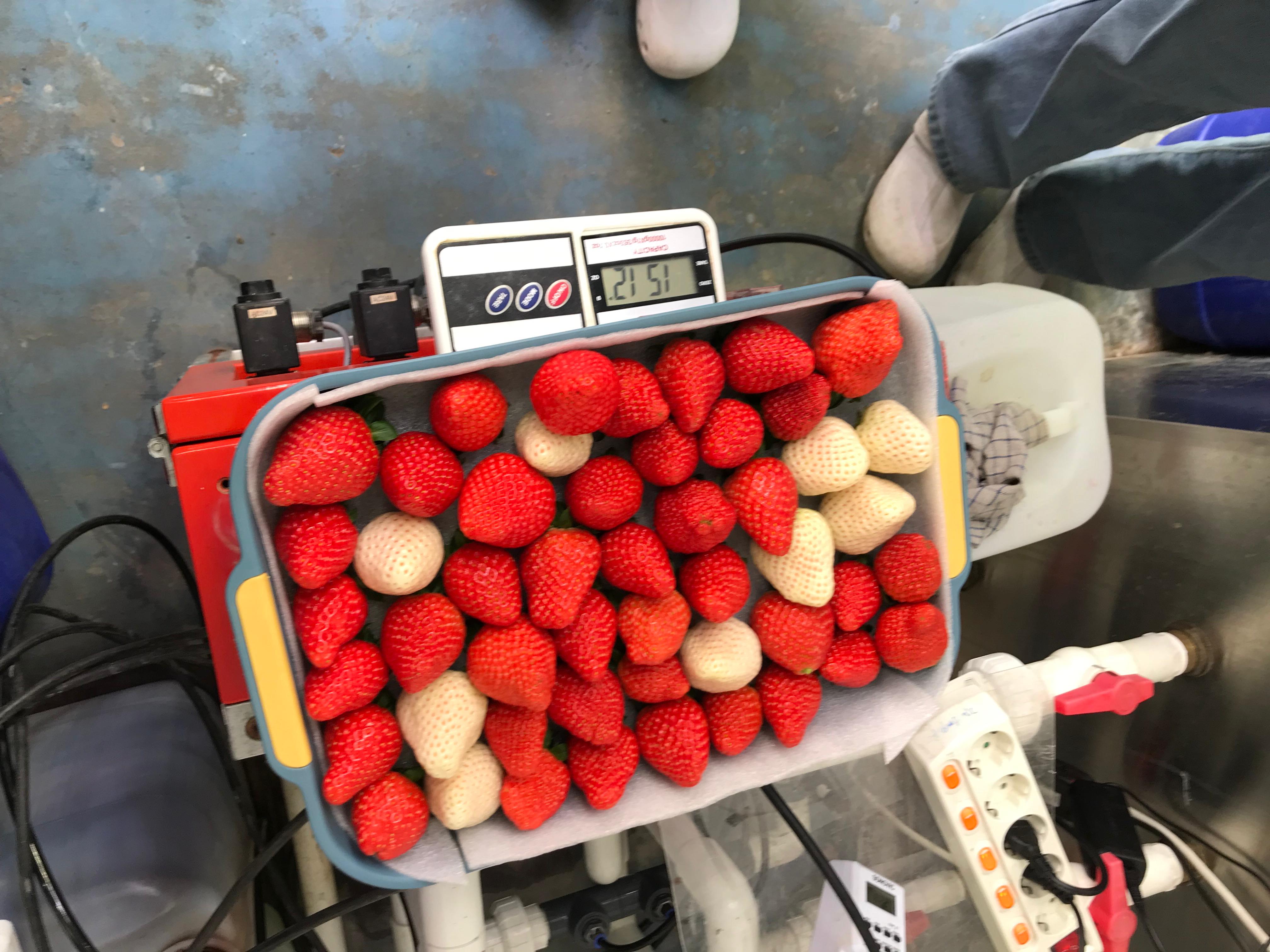 How to Use the SB Object Detection API