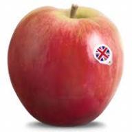 apple_live Object Detection Dataset and Pre-Trained Model by applesorting