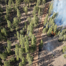 Flame 3 Diffusion Object Detection Dataset by maxgray