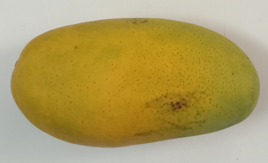 mango Object Detection Model by ML