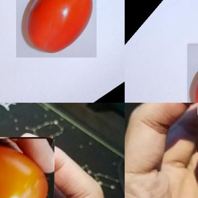 Tomato Detection Object Detection Dataset And Pre Trained Model By New