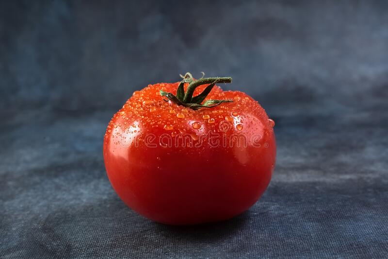 TOMATO DETECTION Object Detection Model by New Tomato Detection