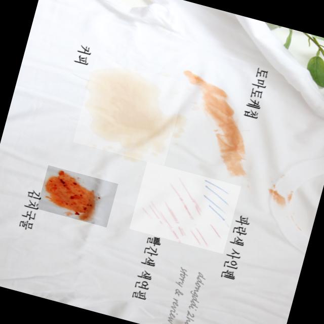 Projectstainclothing Object Detection Model By Walailak