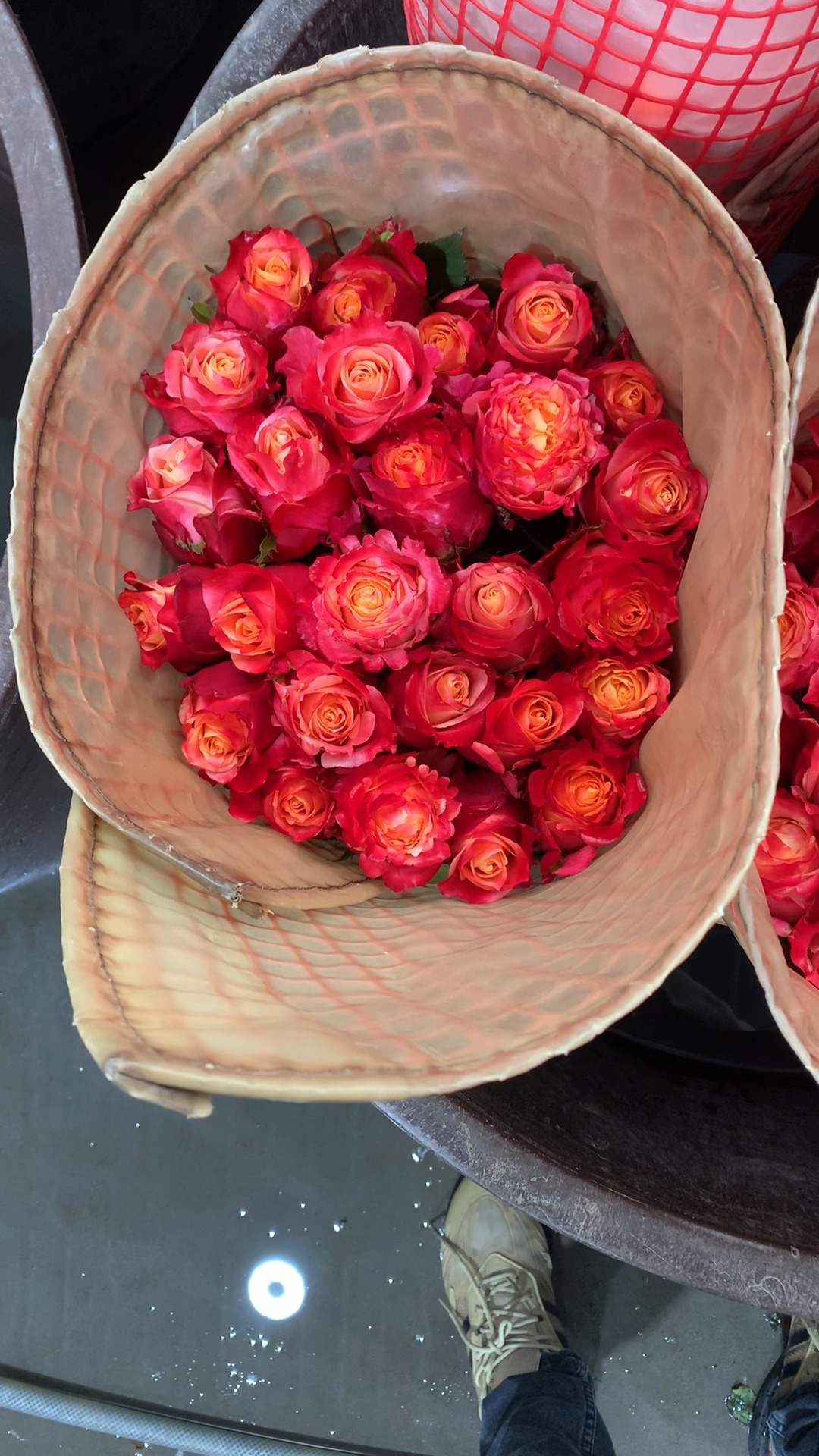 rose breeds Object Detection Model by bernardo.montufar@gmail.com