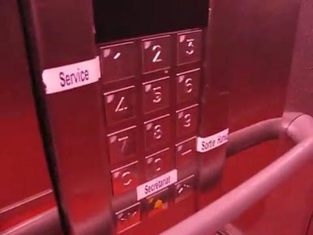 coco (coco-z00z1) - Roboflow Universe