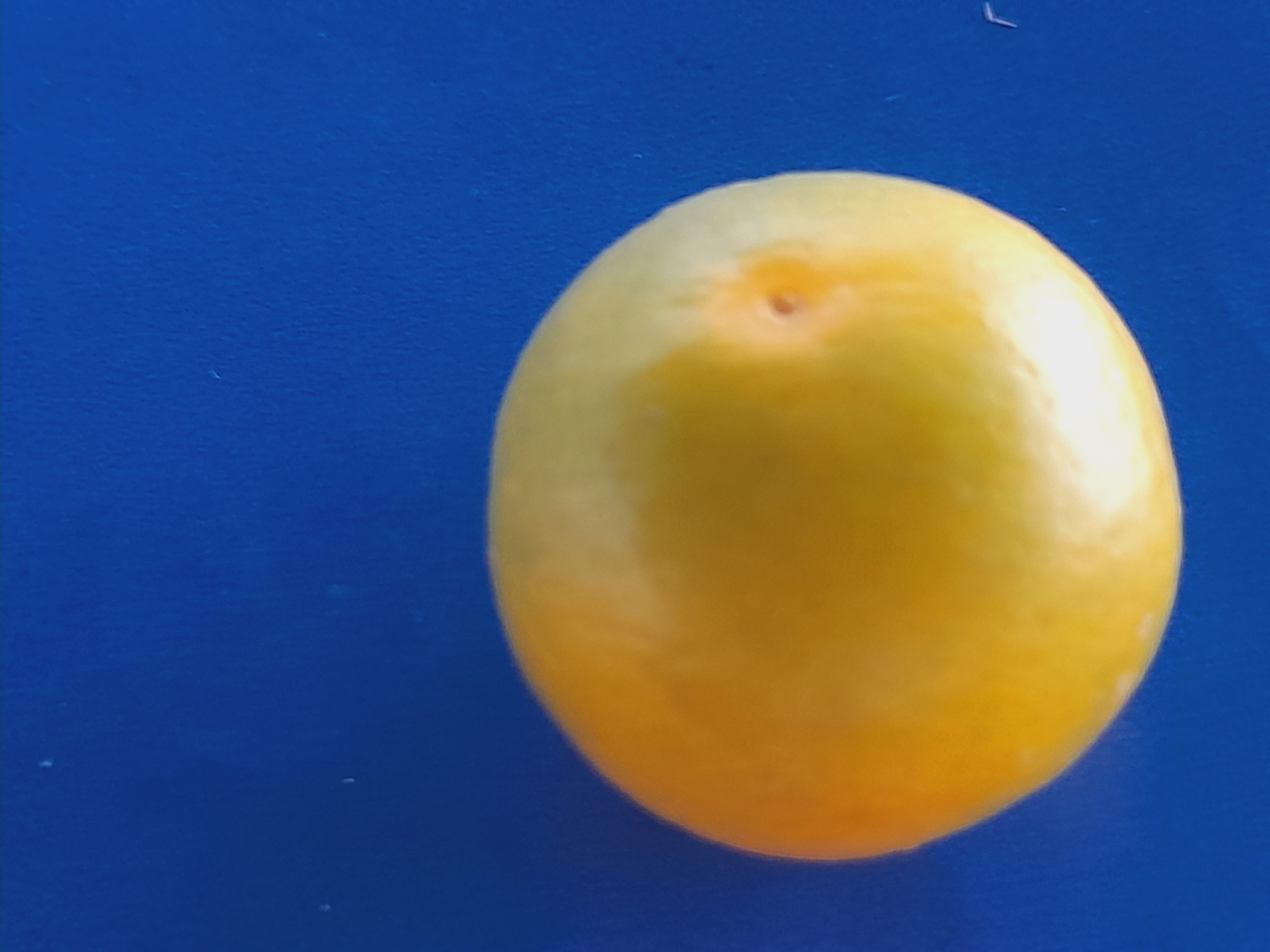 Calamansi Object Detection Dataset and Pre-Trained Model by FIN PROJ